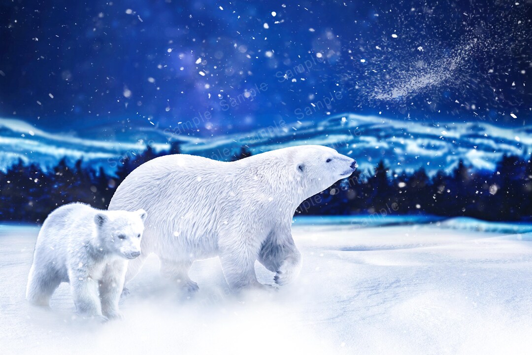 Polar Bear Backdrop, Holiday Backdrop, Christmas Background, Digital ...