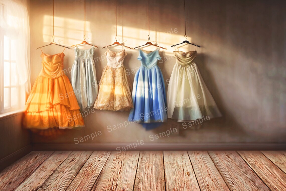 Princess Backdrop of Princess Dresses on a Wall. Pretty - Etsy