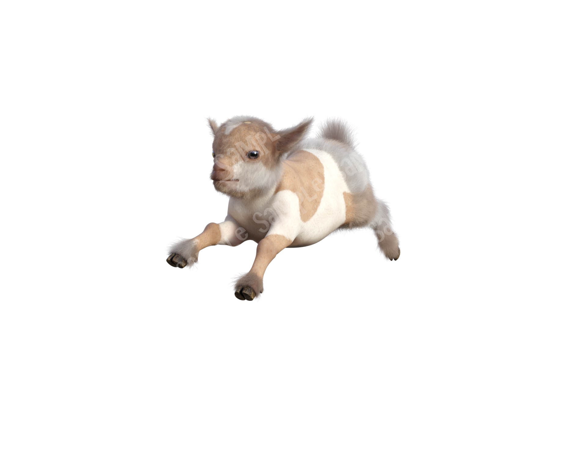 Cute Baby Goat PNG Overlays, Digital Photo Composites (set of 5) - Etsy