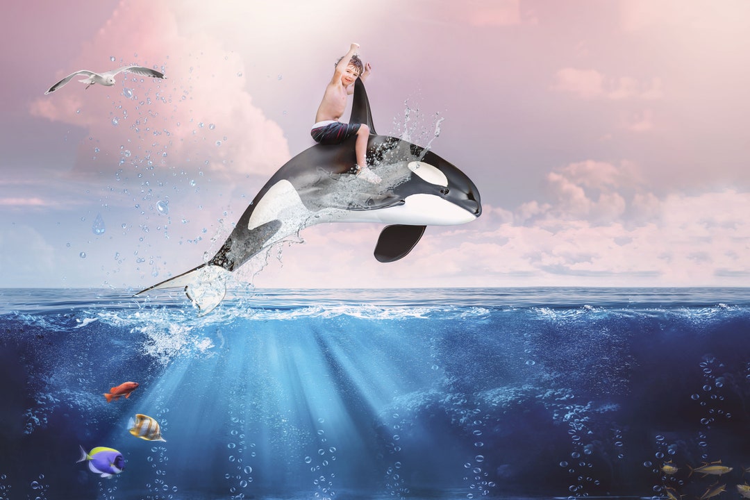 Orca Backdrop, Digital Backdrop, Instant Download, Composite ...