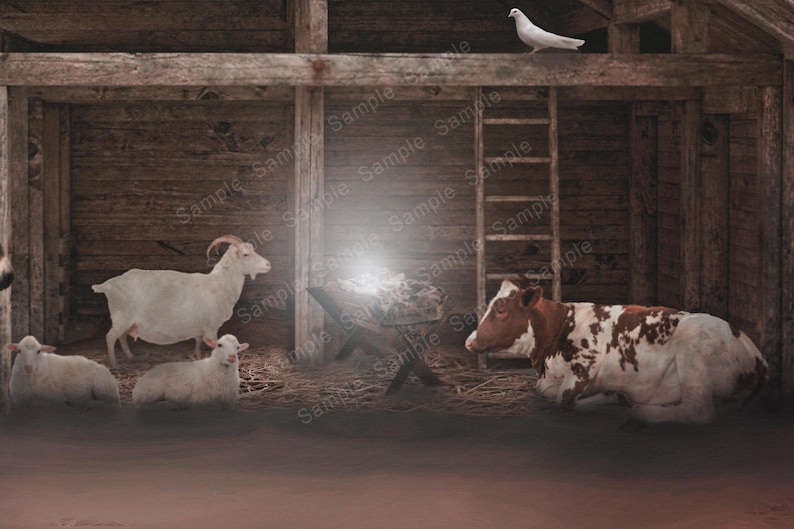 Christmas Backdrop, Digital Background, Nativity Backdrop, Stable ...