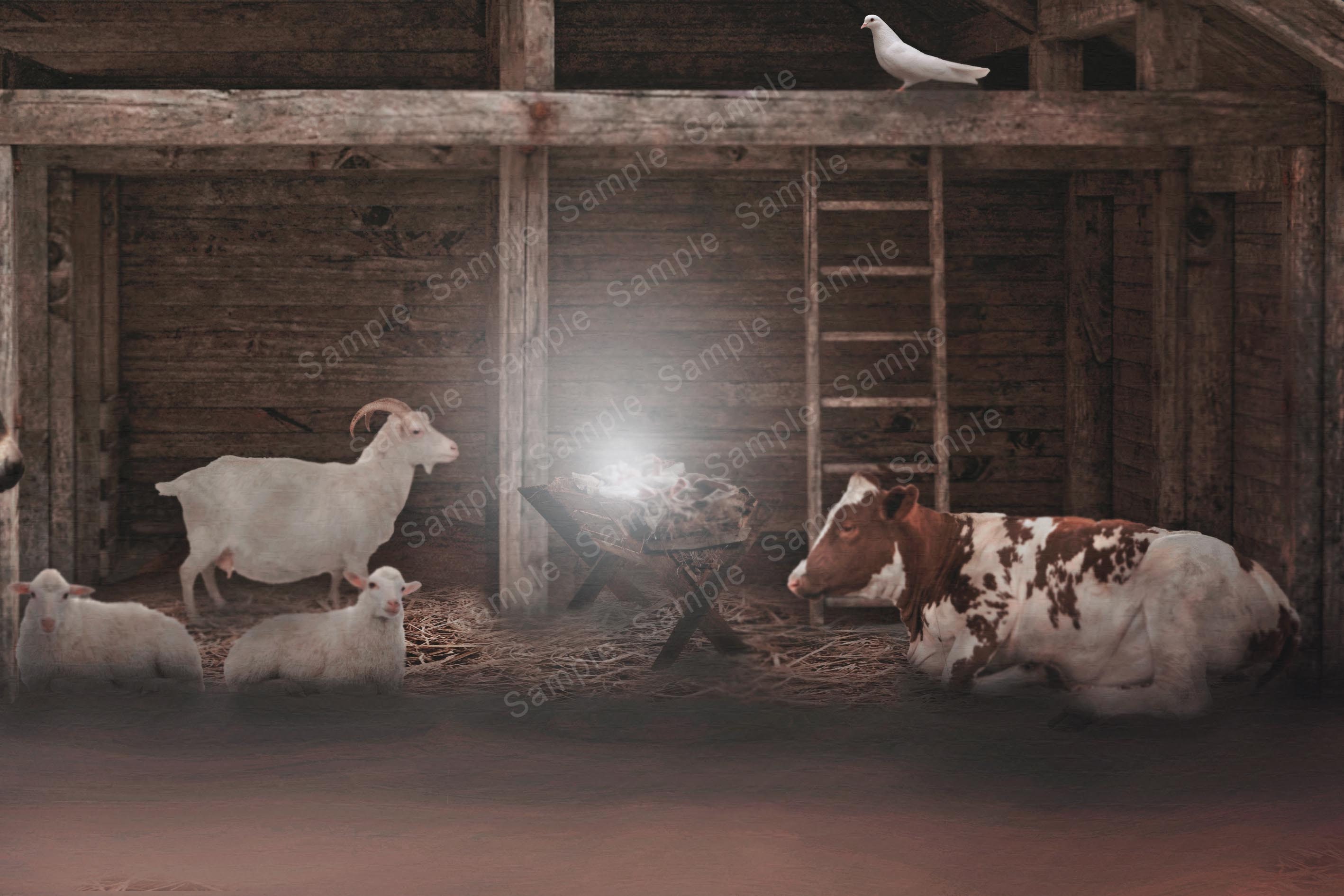 Christmas Backdrop, Digital Background, Nativity Backdrop, Stable ...