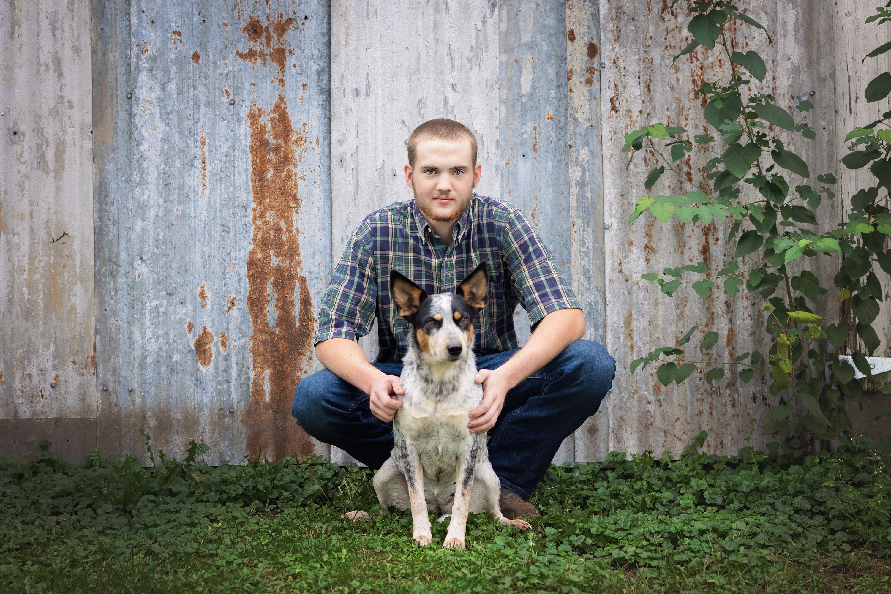Door Backdrop, Barn Backdrop, Tin Door Background, Rustic Backdrop ...