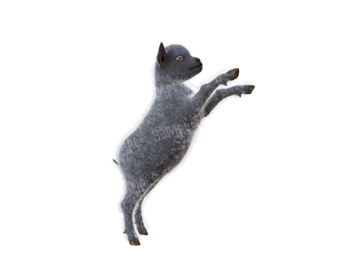 Baby Goat Overlays Digital Overlays of Five Cute Baby Goats - Etsy