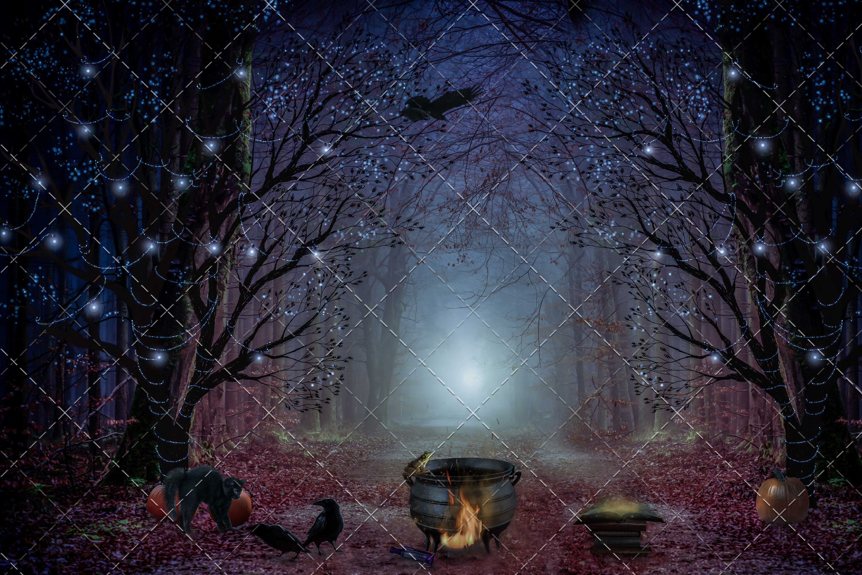 Witch in the Forrest Halloween Digital Backdrop (11x14) (digital ...