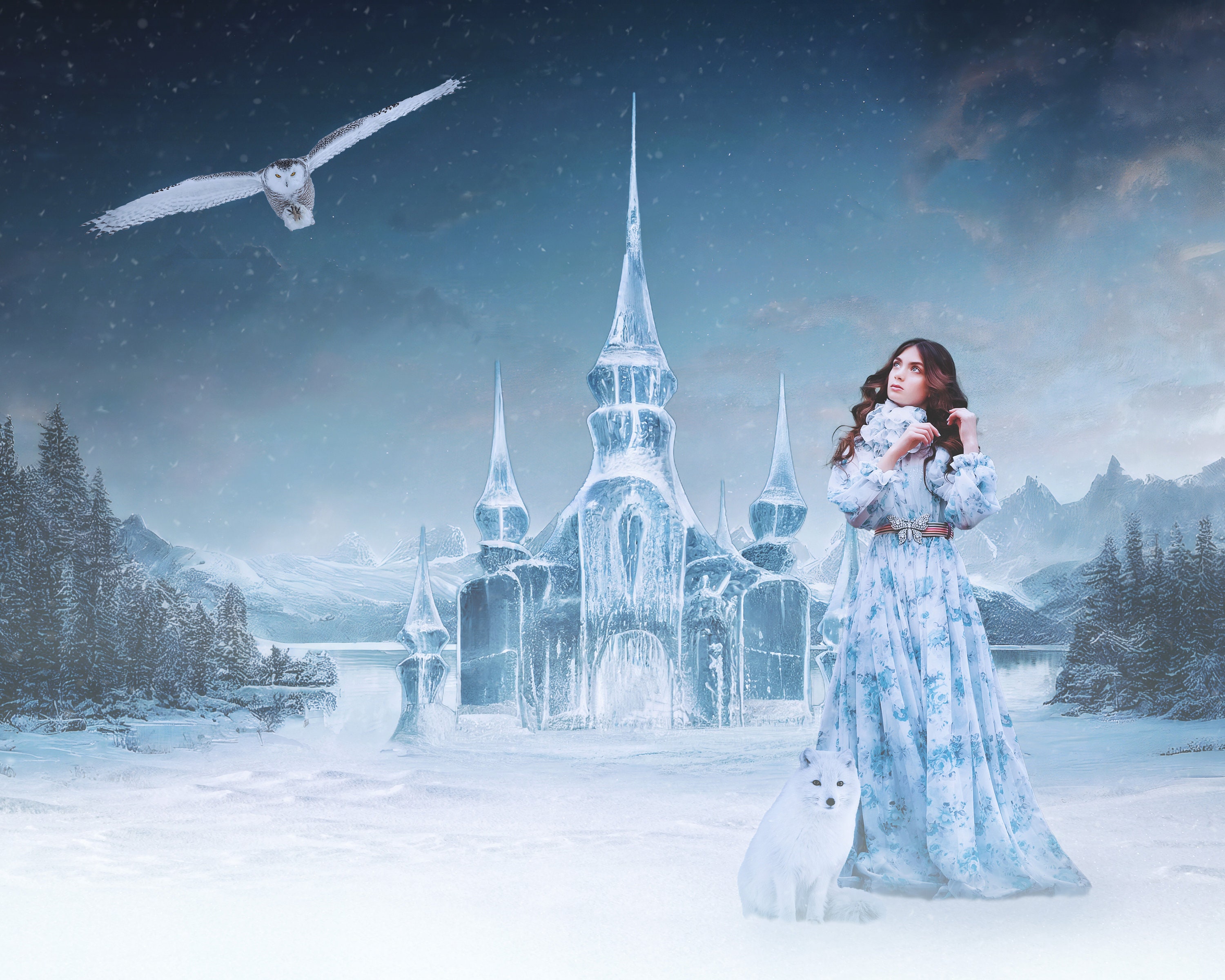 Ice Castle Backdrop, Photo Backdrop, Winter Backdrop, Digital ...