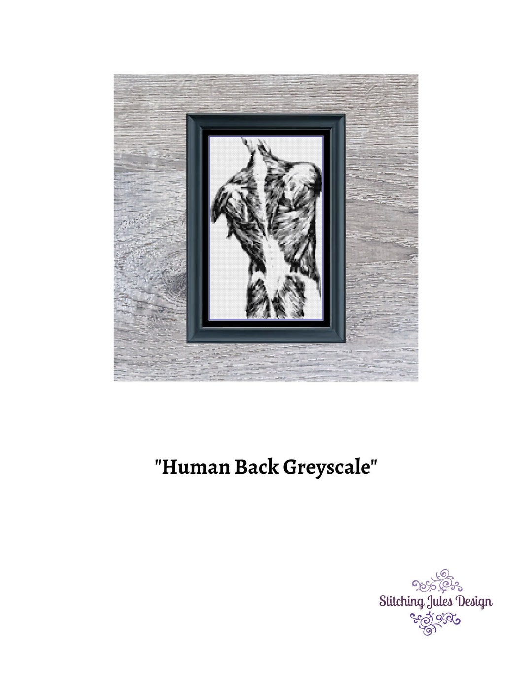 Human Anatomy Cross Stitch Pattern: Greyscale Muscle Back (PDF Download ...