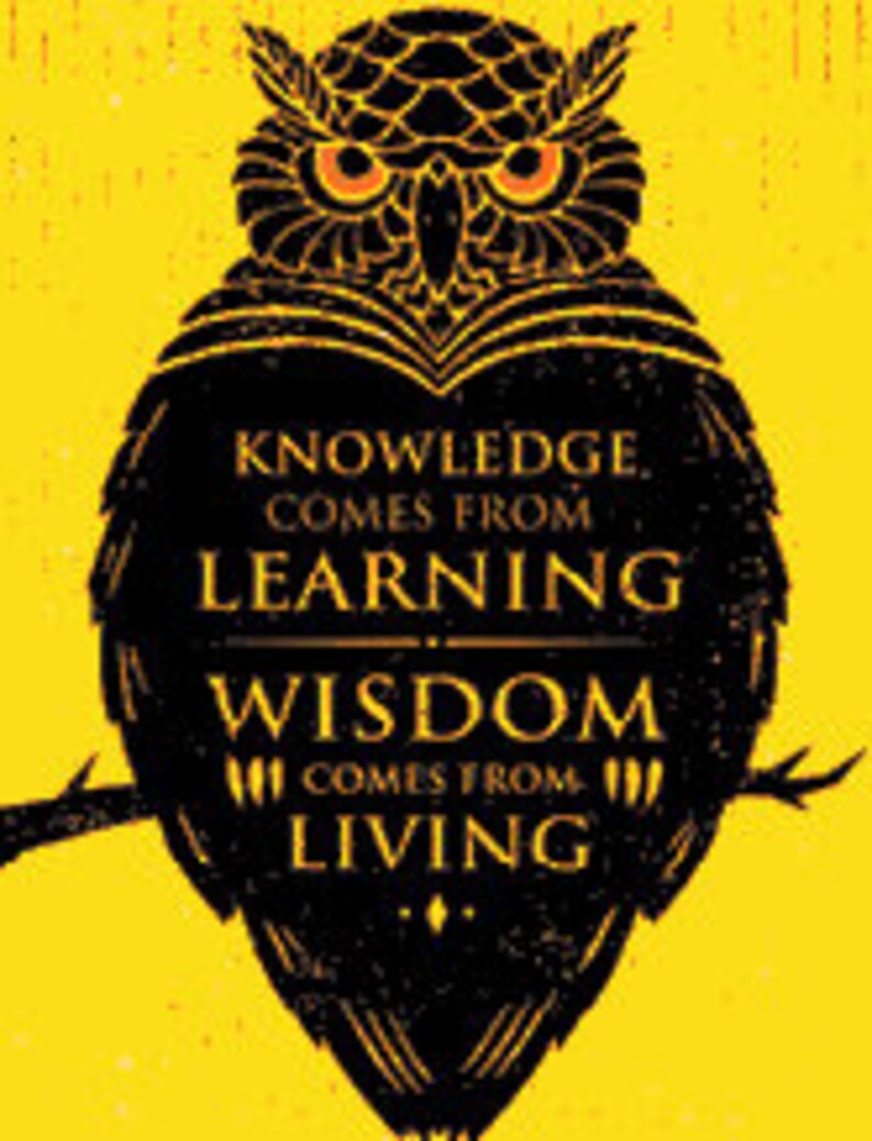 Knowledge and Wisdom Owl Cross Stitch Embroidery Needlepoint Pattern ...
