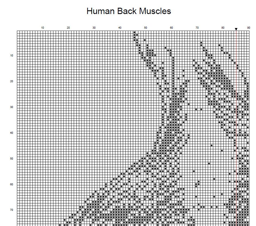 Human Anatomy Cross Stitch Pattern: Monochrome Back Muscles (PDF ...