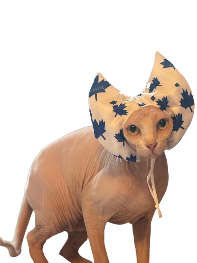 Waterproof Bath Hats for Sphynx Cats – Keep Bath Time Splash-free! - Etsy