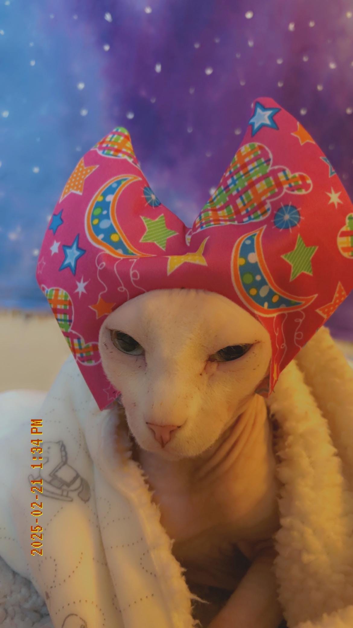 Waterproof Bath Hats for Sphynx Cats – Keep Bath Time Splash-free! - Etsy