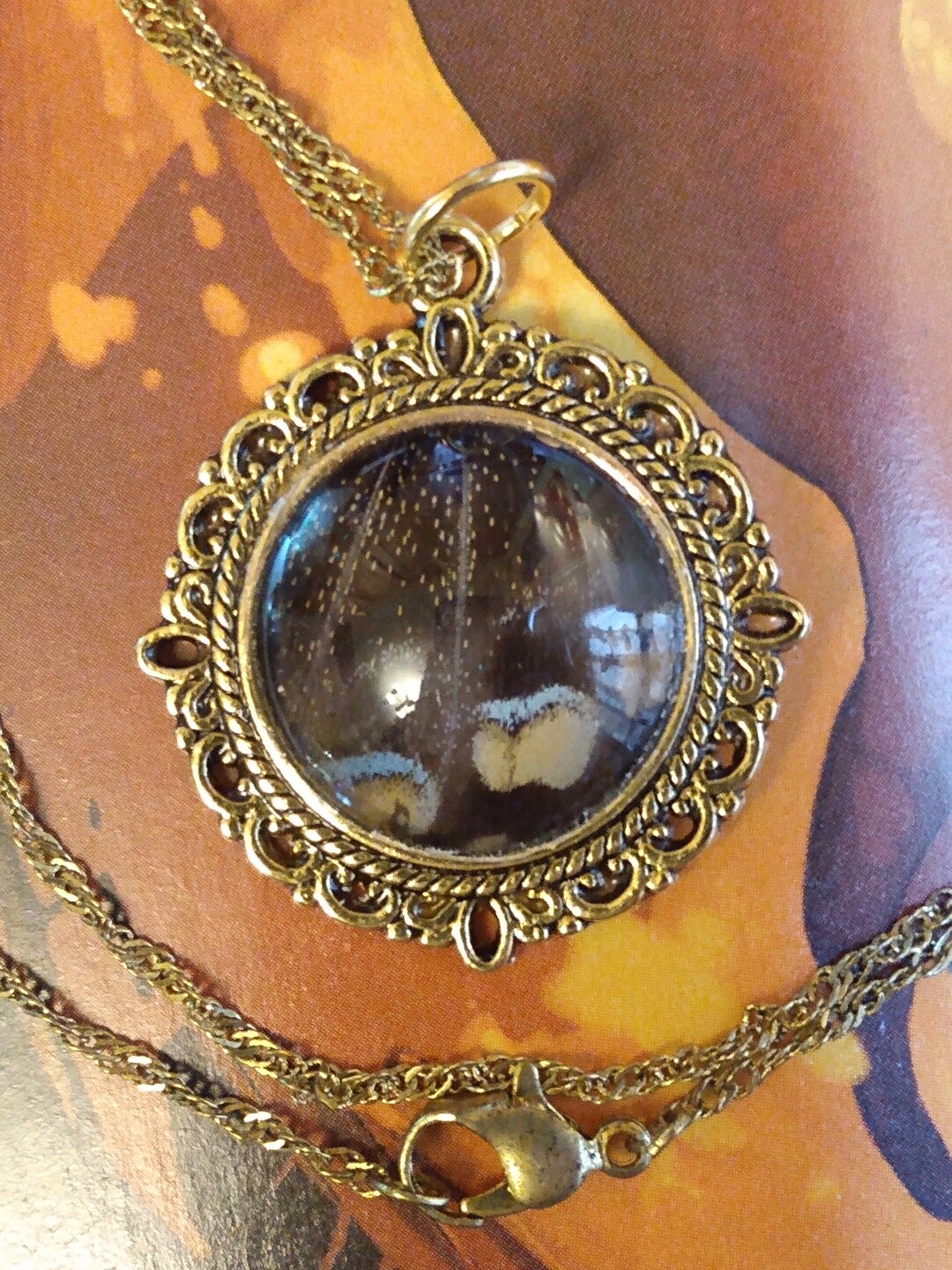 Spicebush Swallowtail Golden Compass Pendant - Etsy