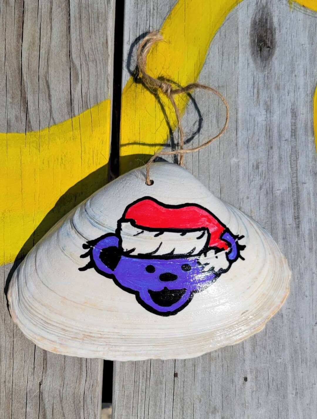 Purple Jingle Bear Seashell - Etsy