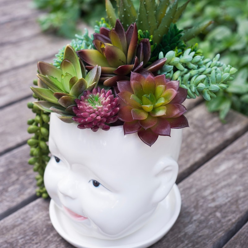 Baby Head Ceramic Pot - Etsy