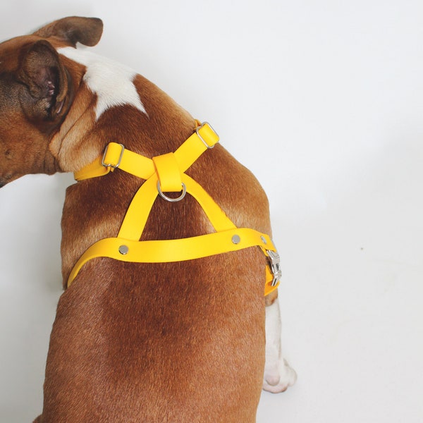 Biothane Dog Harness - Etsy