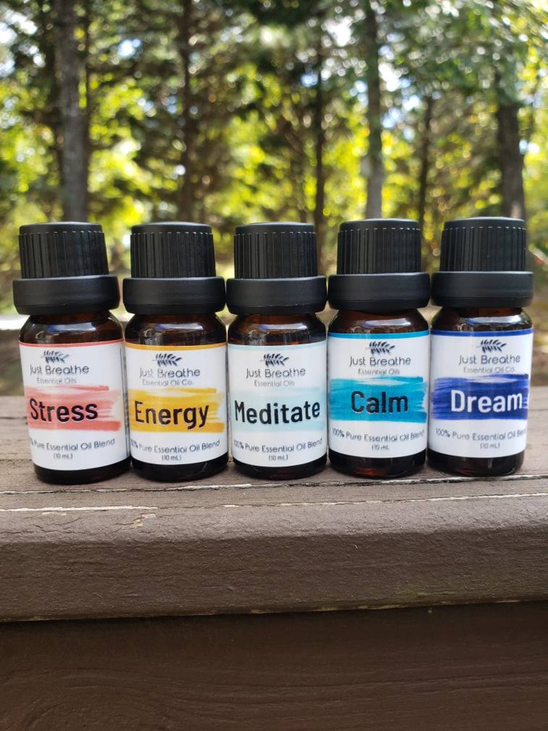 Aromatherapy Essential Oils Set | 100% Pure Essential Oils Blends ...