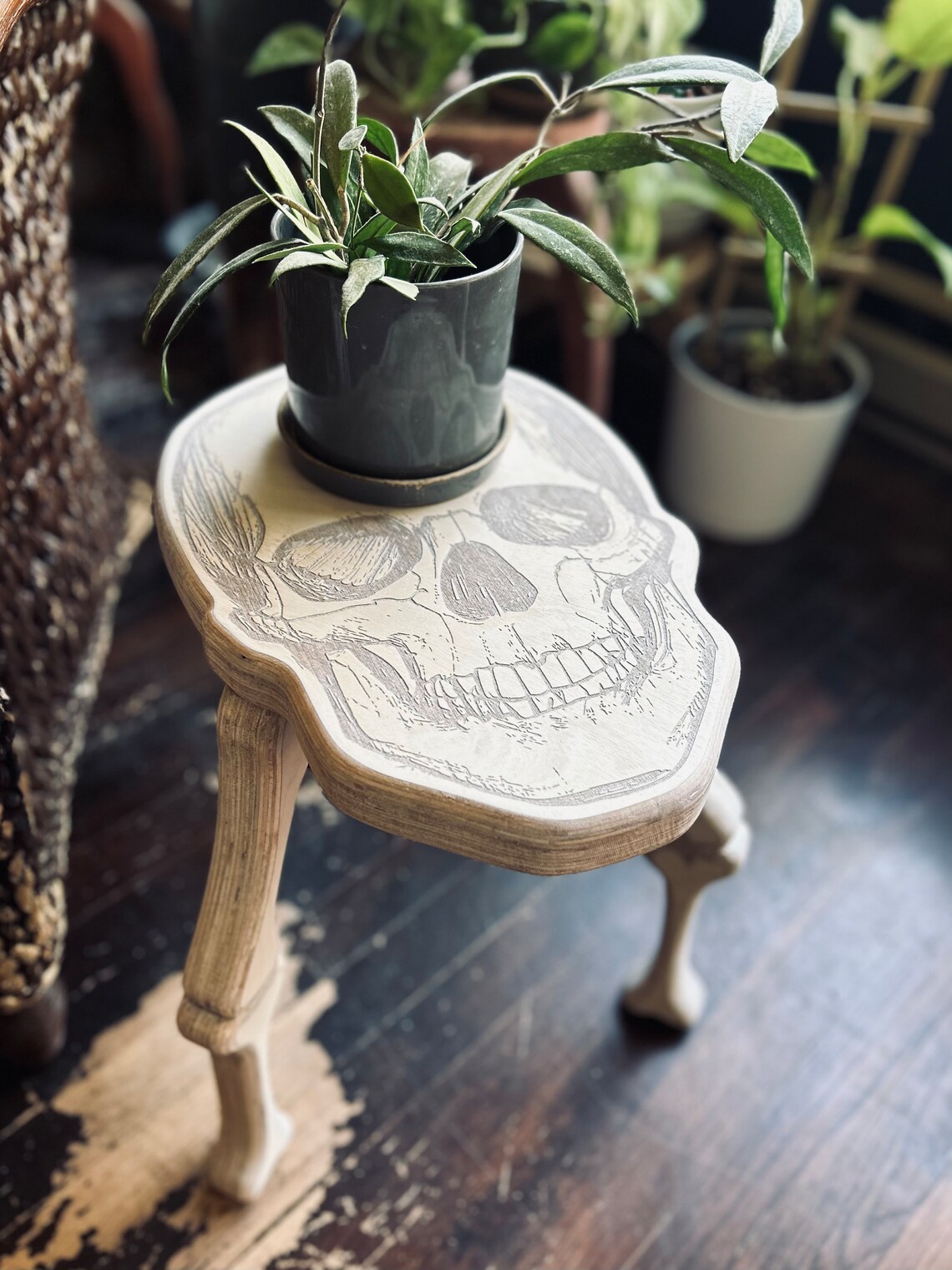 Bone Daddy, Plant Stand, Skull, Skeleton, Bones, Plant Decor, Plant ...