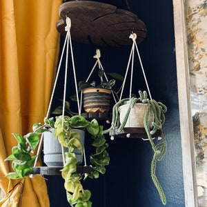 Monstera Multi Hanger, Plant Hanger, Plant Stand, Plant Decor, Plant ...