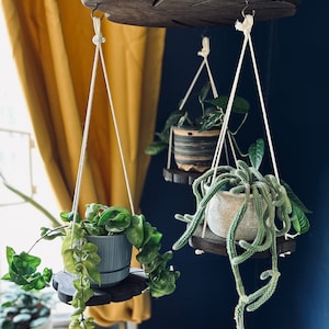 Monstera Multi Hanger, Plant Hanger, Plant Stand, Plant Decor, Plant ...