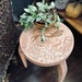 Mermaid Plant Stand Indoor Planter Side Table Beach Decor - Etsy