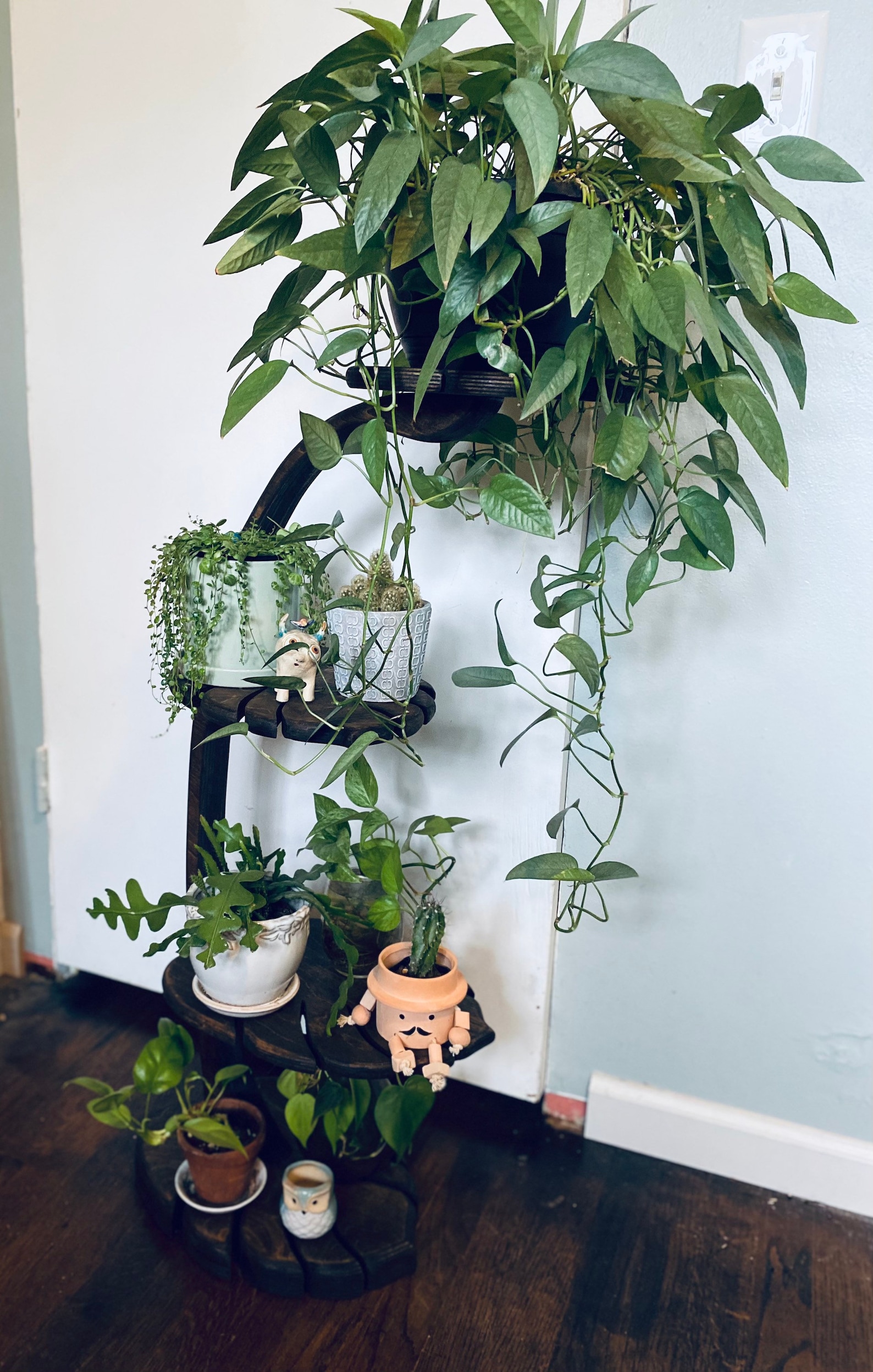 Monstera Multi Tiered Stand Plant Stand Multi Shelf Corner - Etsy