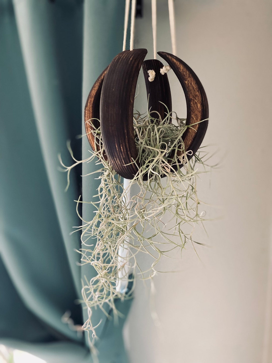 Wood Circle, Air Plant Hanger, Plant Hanger, Plant Stand, Small Planter ...