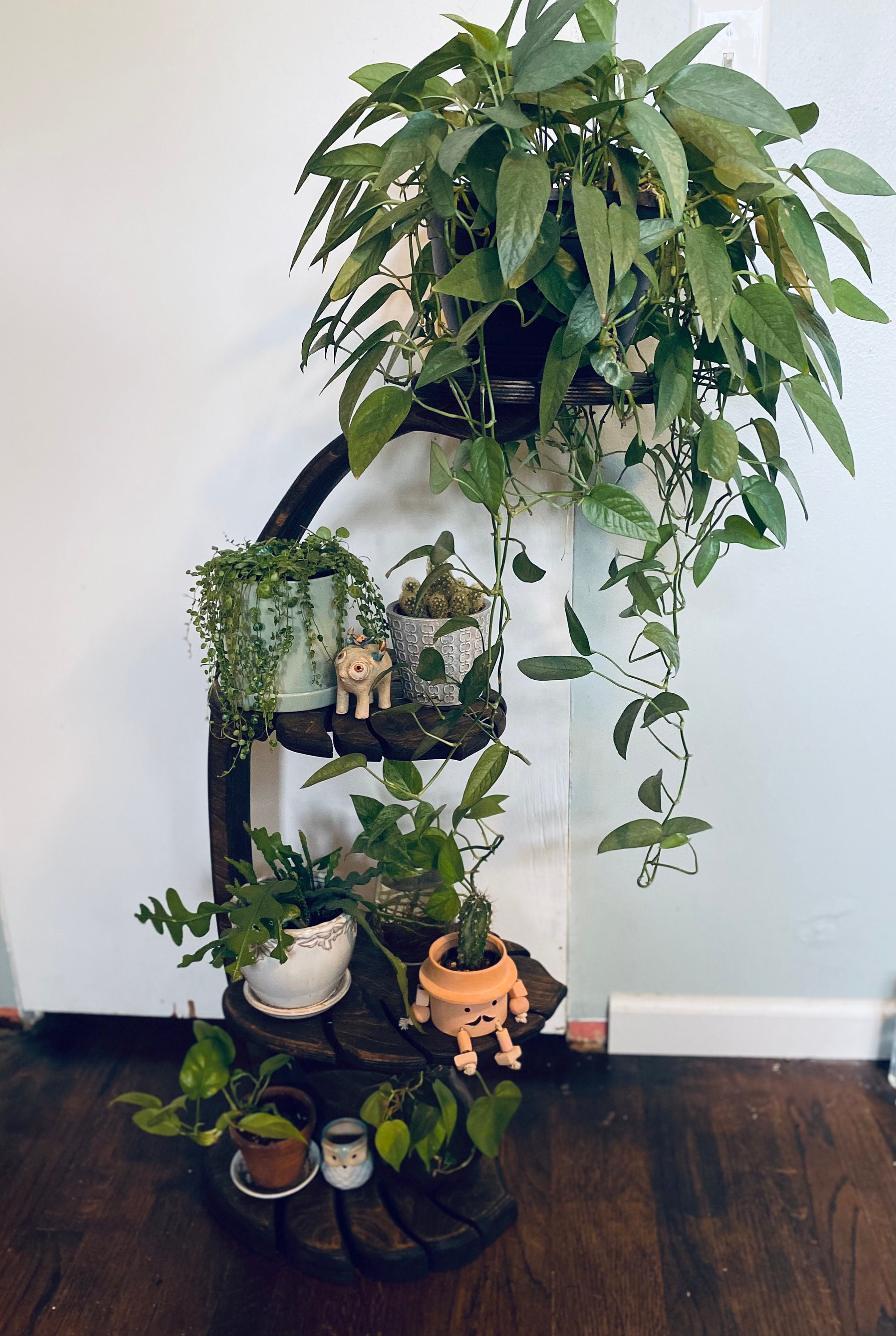 Monstera Multi Tiered Stand Plant Stand Multi Shelf Corner - Etsy