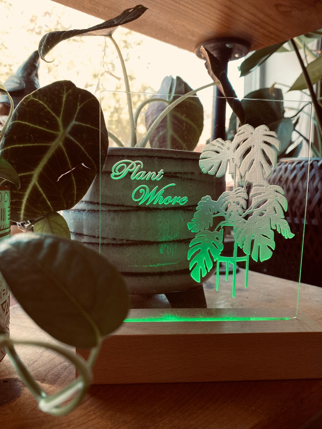 Plant Sign, Plant Accessories, Gift for Plant Lover, Christmas Gift for ...