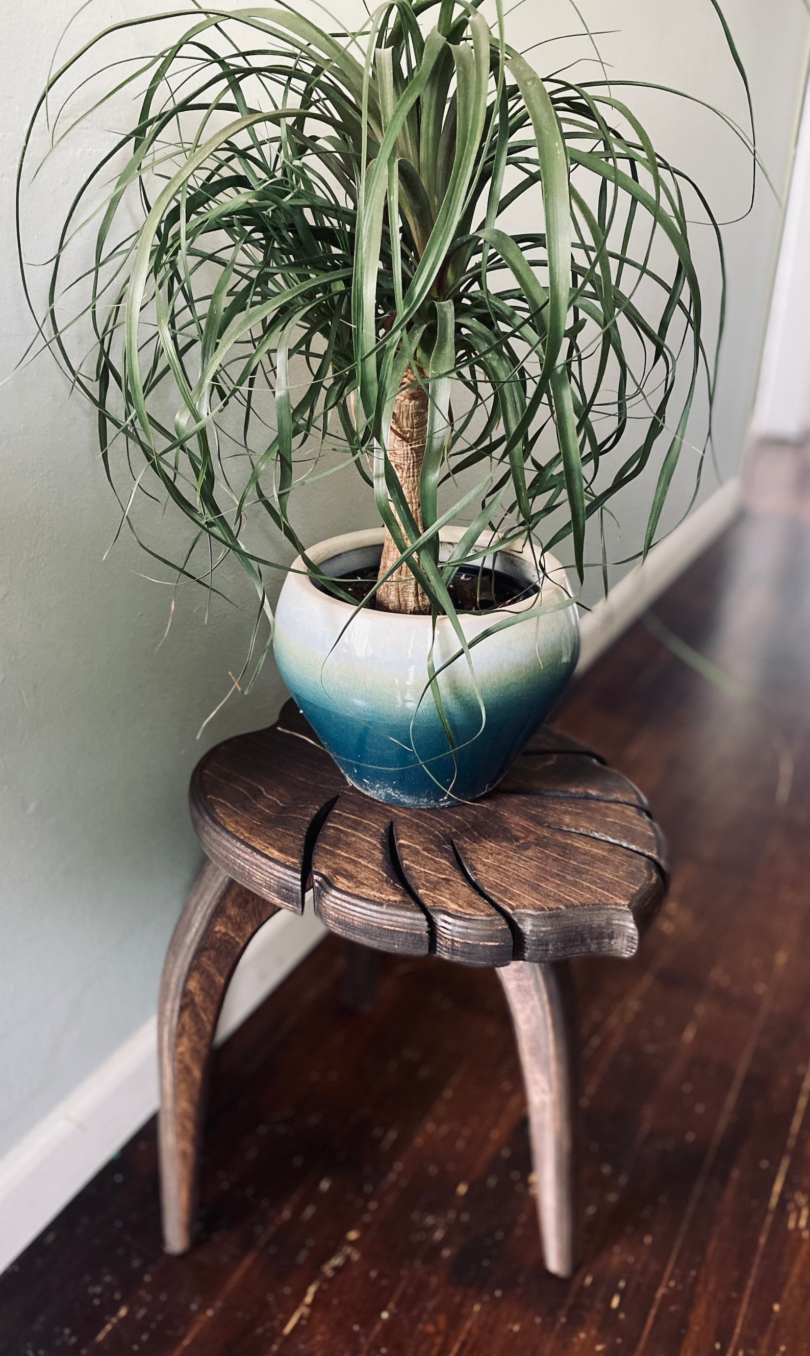 Monstera Stand Plant Stand Side Table Monstera Table Small - Etsy