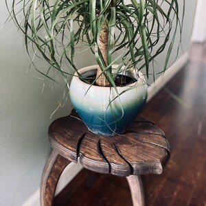 Monstera Stand, Plant Stand, Side Table, Monstera Table, Small Plant ...