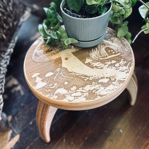 Toad Stool, Plant Stand, Indoor Planter, Plant Stool, Plant Decor, Side ...