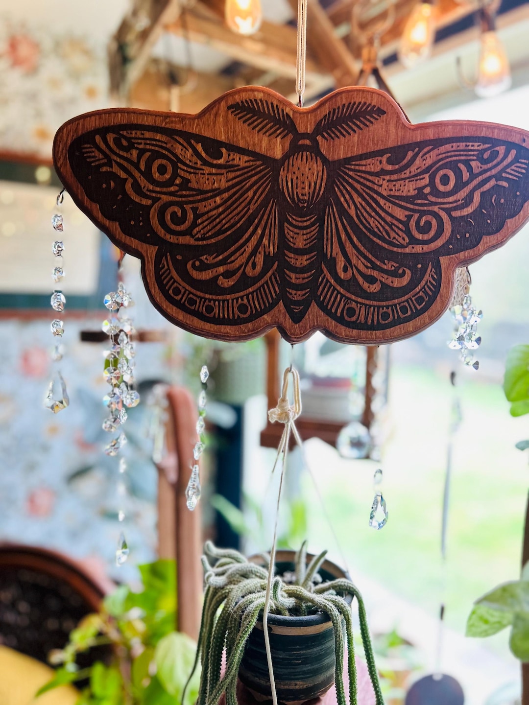 Moth Plant Hanger, Indoor Planter, Hanging Planter, Indoor Plant Hanger ...