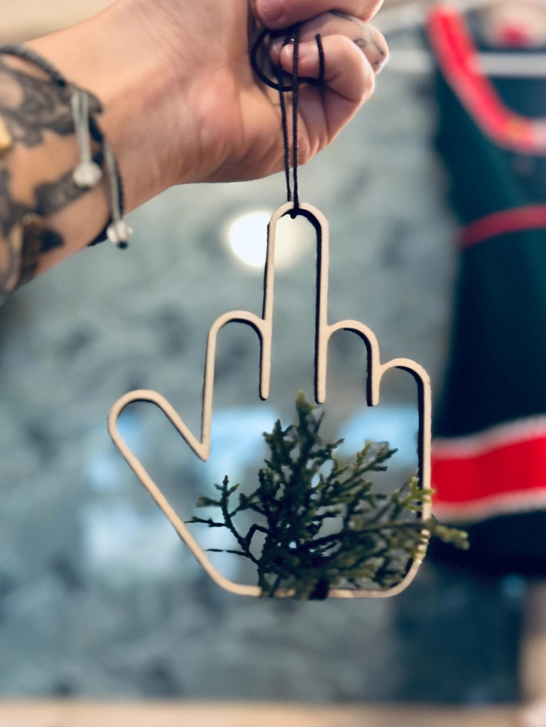 Middle Finger Air Plant Hanger, Air Plant Display, Stocking Stuffer ...