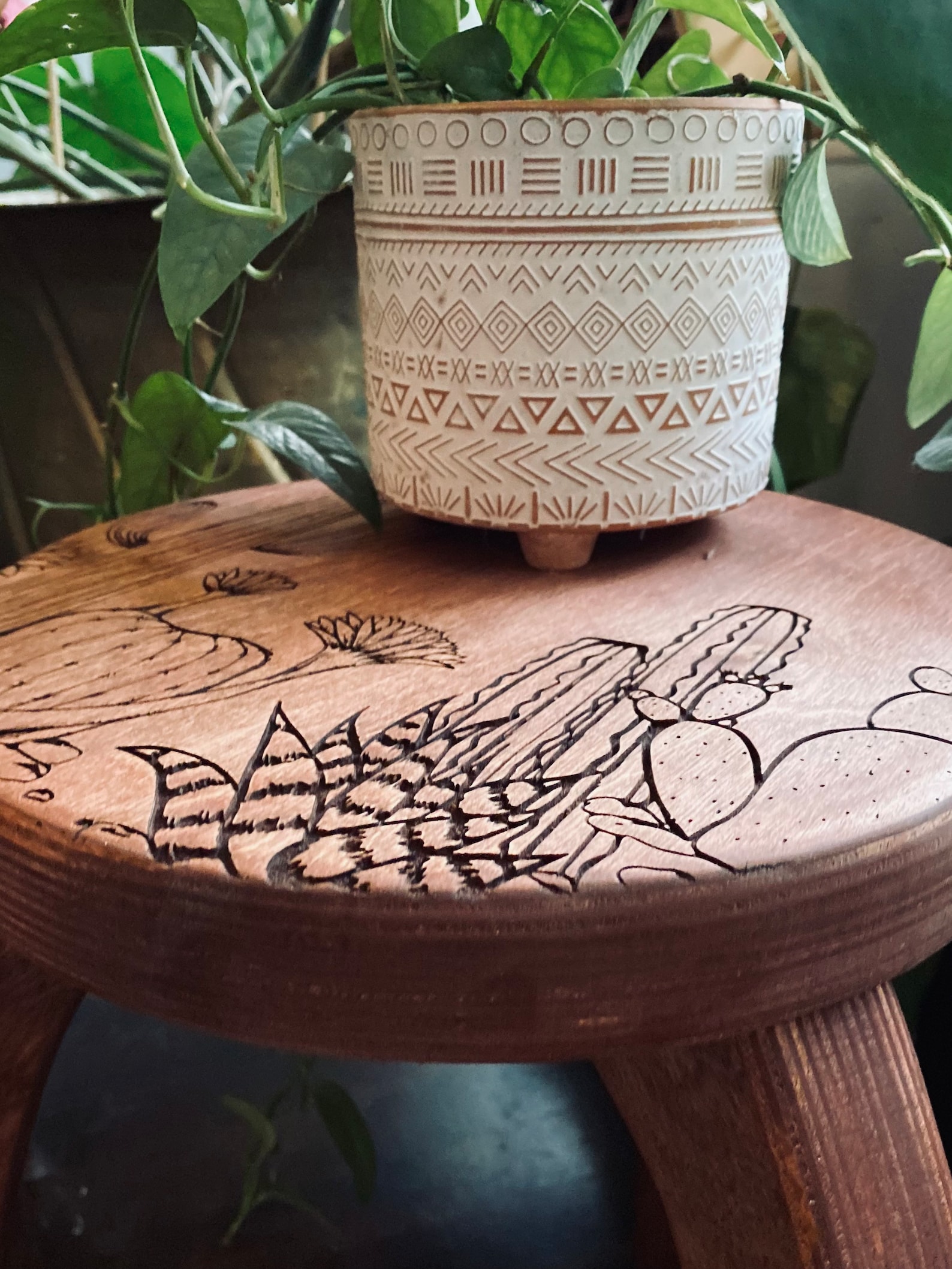 Cactus, Plant Stand, Side Table, Plant Shelf, Wood Table, Gift for ...