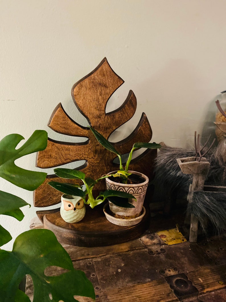 Wall Shelf Monstera Shelf Plant Stand Wall Hanging Wall - Etsy