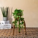 Small Plant Stand Triangle Plant Stool Indoor Plant Stand - Etsy