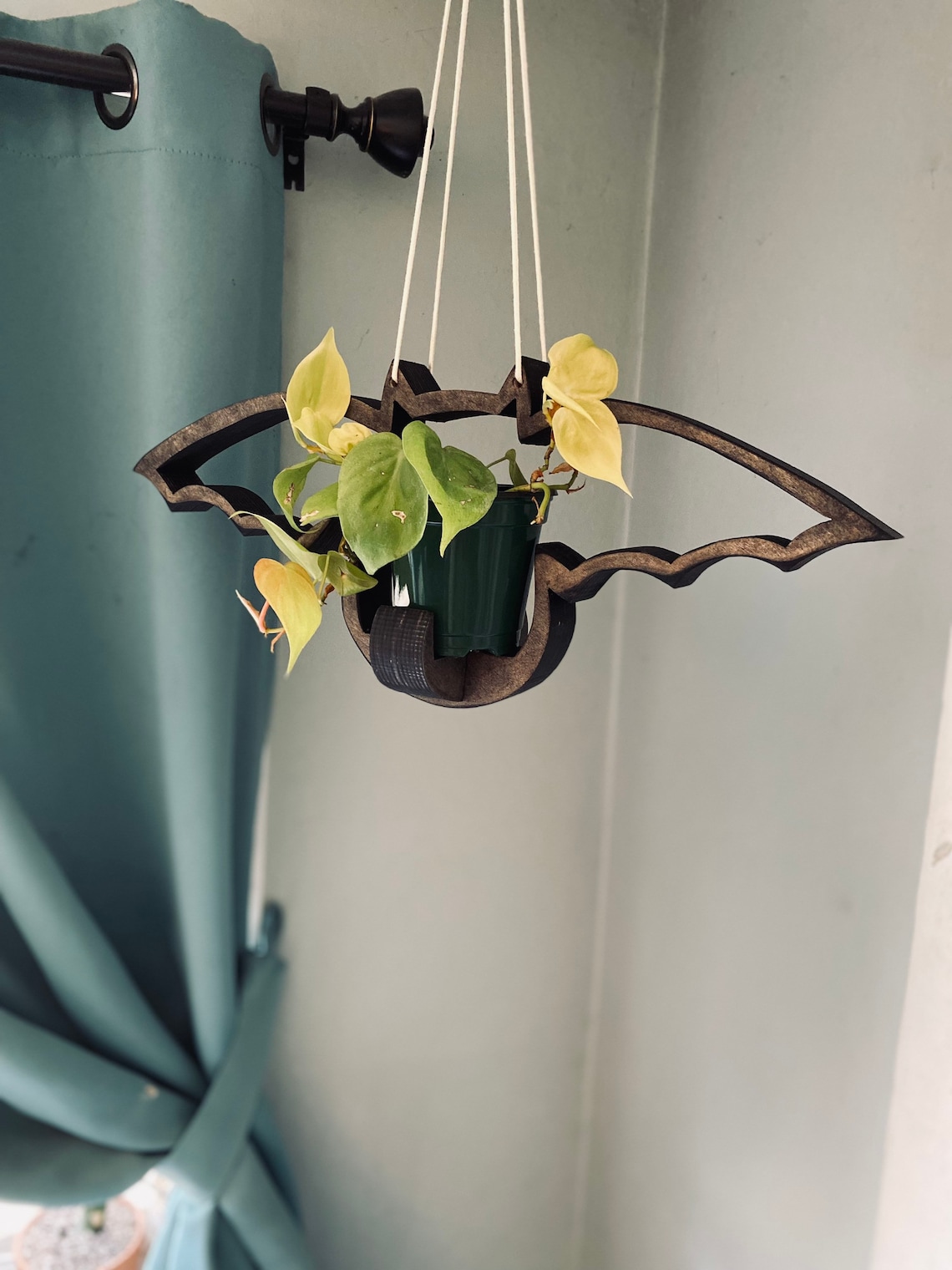 Bat Plant Hanger Indoor Planter Hanging Planter Indoor - Etsy