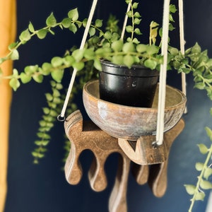 Slippy Drippy, Plant Hanger, Plant Stand, Plant Shelf, Plant Decor ...