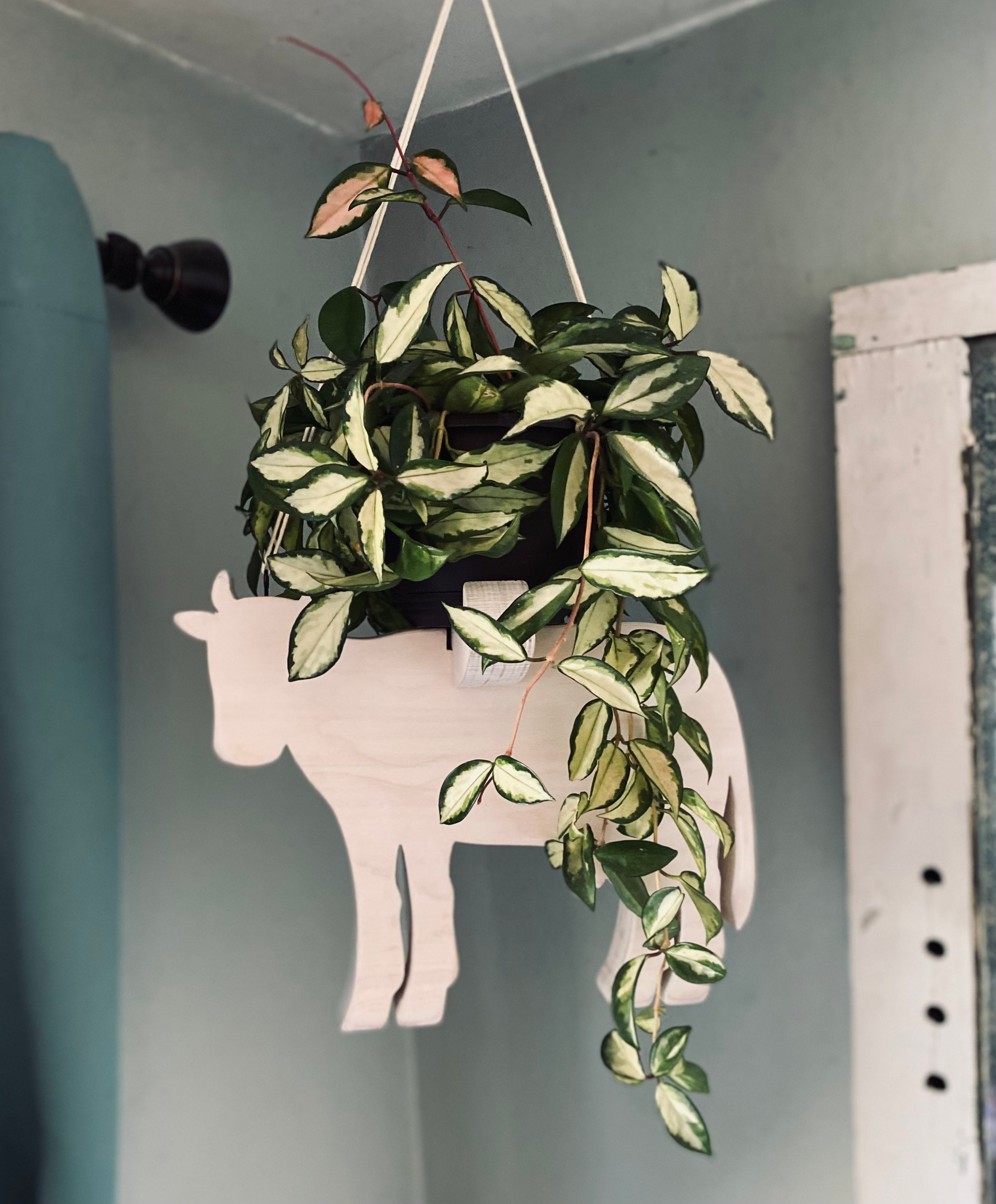 Cow Plant Hanger Plant Stand Planter Gift for Plant Lover - Etsy