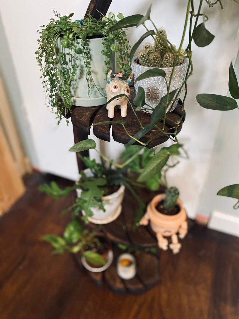 Monstera Multi Tiered Stand Plant Stand Multi Shelf Corner - Etsy
