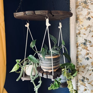 Monstera Multi Hanger, Plant Hanger, Plant Stand, Plant Decor, Plant ...