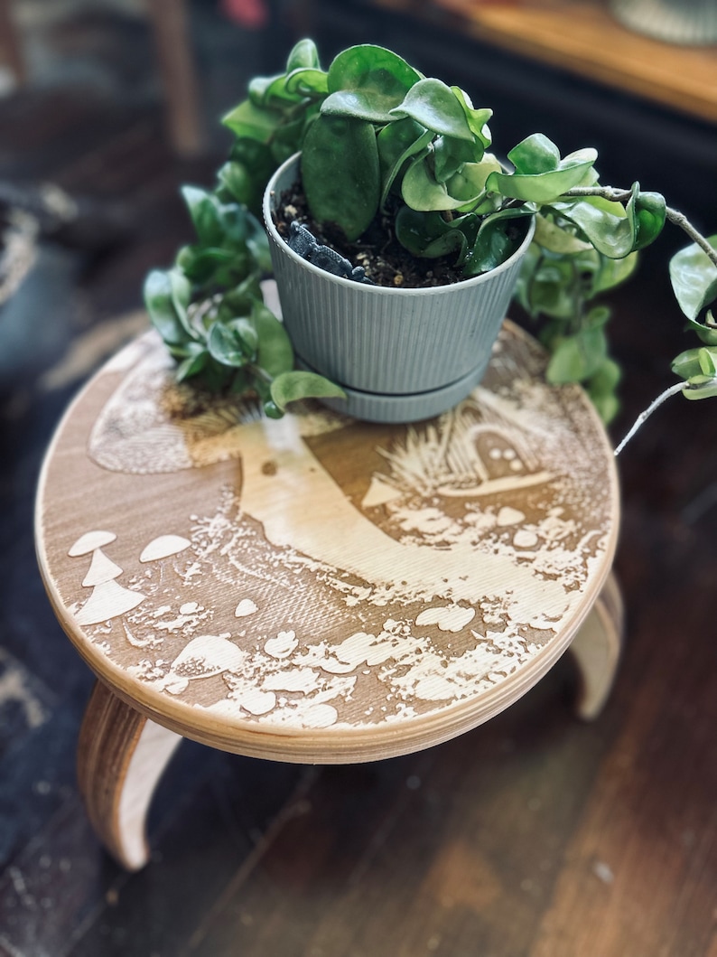 Toad Stool Plant Stand Indoor Planter Plant Stool Plant - Etsy