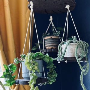 Monstera Multi Hanger, Plant Hanger, Plant Stand, Plant Decor, Plant ...