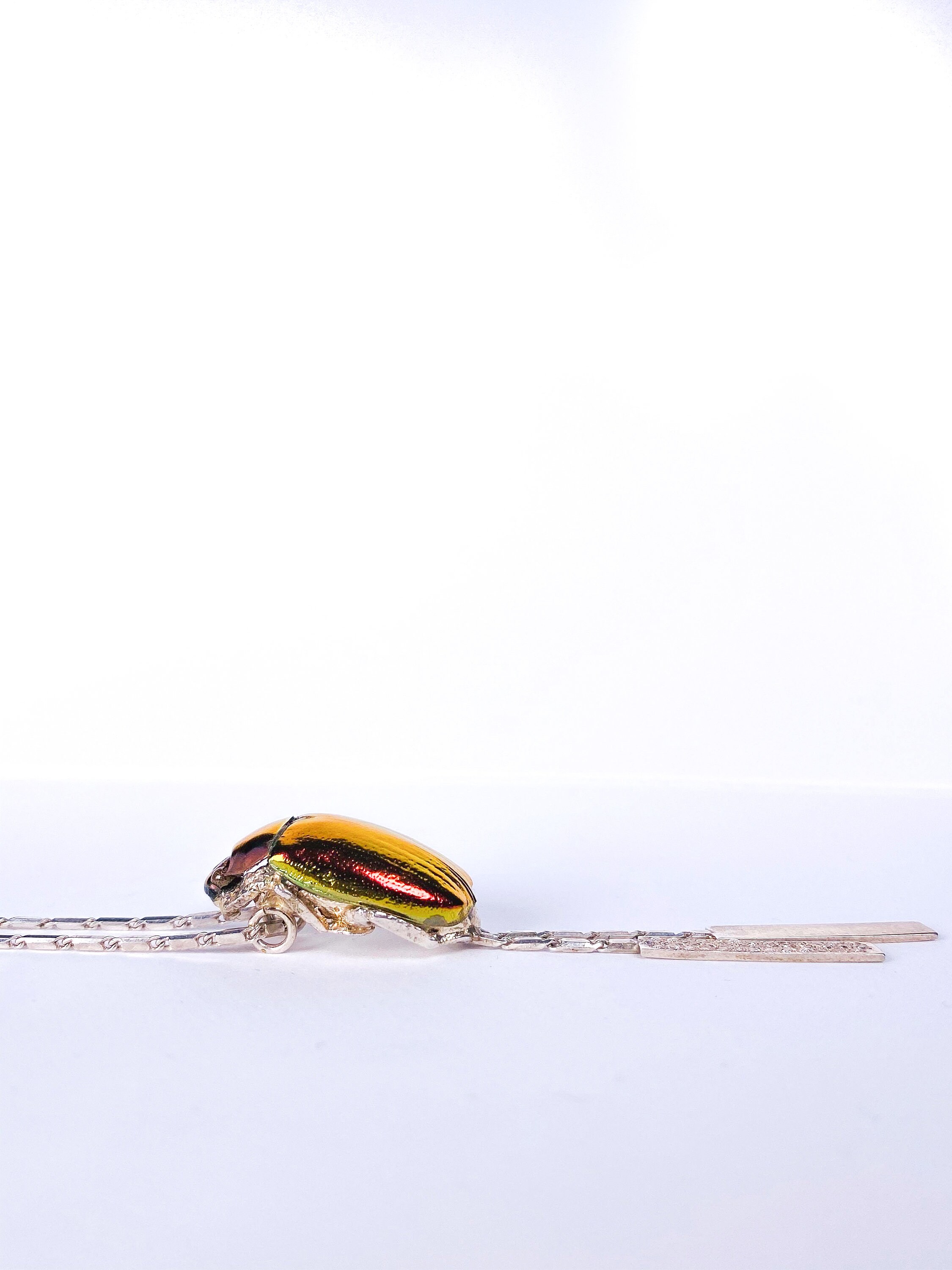 Real Golden Scarab Chrysina Aurigans Ruby Red Form Luxury Pendant With ...