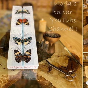 Red and Black Delias Aruna Seriata for Insect Artwork | Etsy