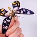 Papillon Dysphania Numana Contracta Non Monté Pour œuvre D'art Sur Les ...