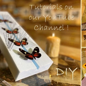 The Real Elvis Presley Bug Catacanthus Incarnatus, Unmounted Insect Red ...