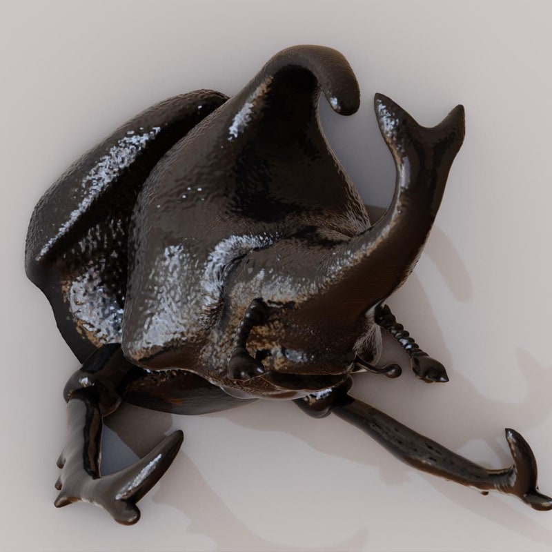 Faux Rhino Head - Etsy