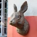 Wall Mounted Rabbit Head, Hare Wall Art - Etsy