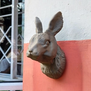 Wall Mounted Rabbit Head, Hare Wall Art - Etsy